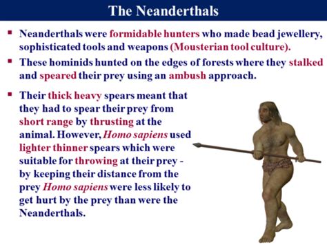 Bio3 2 Human Evolution Fossil Evidence 1 Teaching Resources