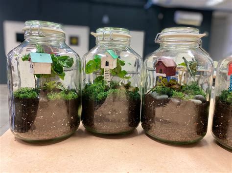 Self Sustaining Ecosystem In A Jar By Vivita Lahenduste Laboratoorium Medium