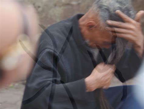 Artist Shen Xin Probes Deep Seated Connections In Trees Languages Protests And Evolutionary