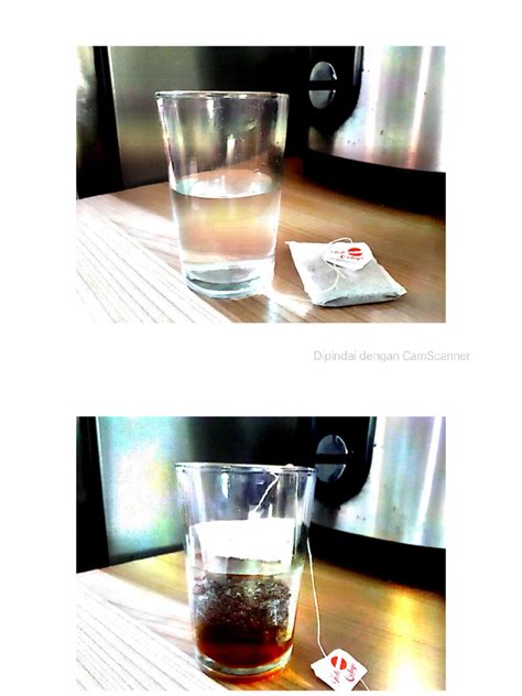 Laporan Difusiandomosis Komang Wisnu Pdf