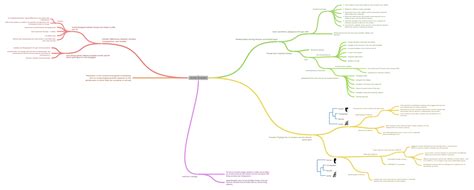 Human Evolution Coggle Diagram