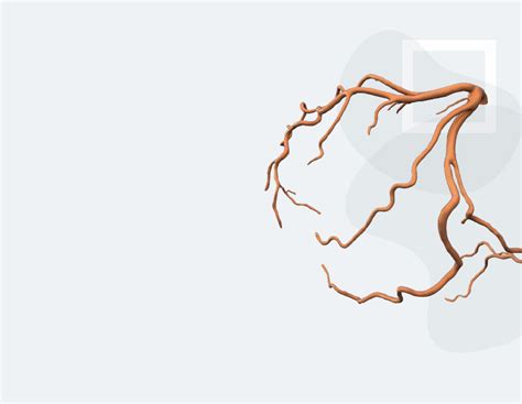 Medical Image Segmentation Development