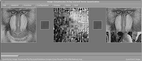 Main Window In The Gui For Learning Vector Quantization Of Images Download Scientific Diagram