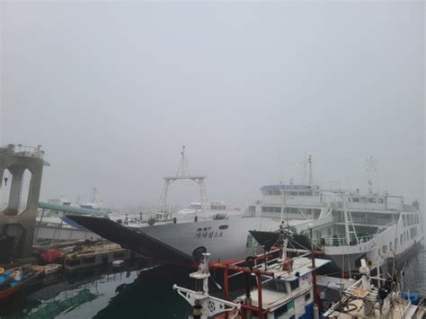 한국해양교통안전공단 보령운항센터 봄철 해양사고 예방대책 추진 보령시장신문