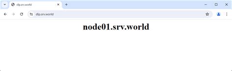 Ubuntu Squid Configure As Reverse Proxy Server World