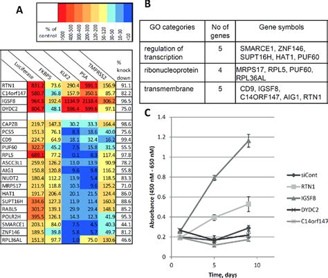 New Regulators Of Androgen Responsive Genes Identified In The