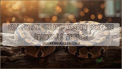 Ball Python Weight And Growth Complete Size Chart By Age Guide
