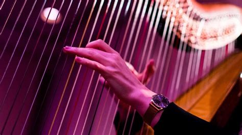 Premium Photo Cropped Hands Of Woman Playing String Instrument