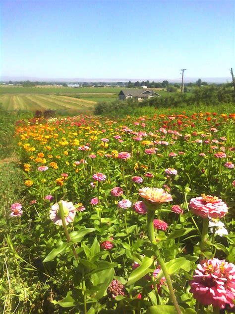 Hatch Patch Hatch Patch Added A New Photo