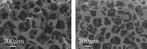 Sem Micrographs Left On Cross Section Right On External Surface