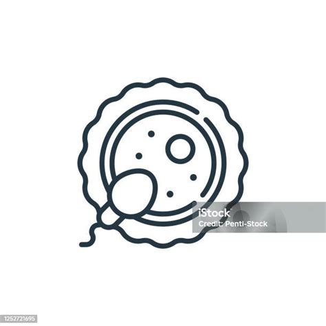 수정 벡터 아이콘입니다 수정 편집 가능한 뇌졸중 웹 및 모바일 앱 로고 인쇄 매체에 사용하기 위한 수정 선형 기호입니다 얇은 선 그림 벡터 격리 된 윤곽선 도면입니다 건조