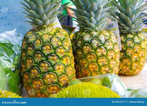 Pineapple Tropical Fruit Stock Image Image Of Ripe Farm 29572717