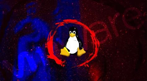 Vmware La Caída Del 70 En El Rendimiento De Las Máquinas Virtuales Esxi De Linux Con Las