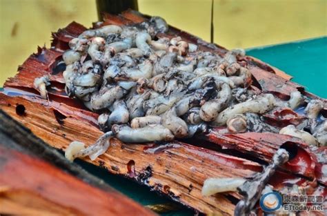 世界上最噁心食物 生吞像鼻涕的樹蟲你敢挑戰嗎 ETtoday旅遊雲 ETtoday新聞雲