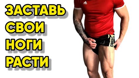 Полная Тренировка Ног В Домашних Условиях Youtube