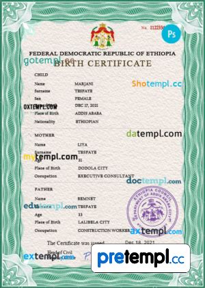 Ethiopian Birth Certificate PSD Example Completely Editable Pretempl