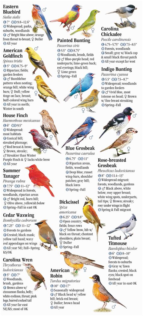 Birds Of Oklahoma Quick Reference Publishing Retail