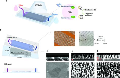 Planar Microreactor For Photocatalytic Water Purification A Schematic Download Scientific