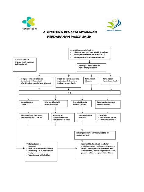 Algoritma Penataksanaan Perdarahan Pasca Salin Ed Pdf