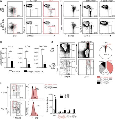 il 18rα⁺ ilcs in adult rag1− − mouse lungs have ilcp properties bm