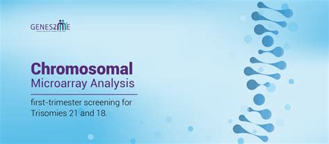 Chromosomal Microarray Analysis Test During Pregnancy Genetic Screen