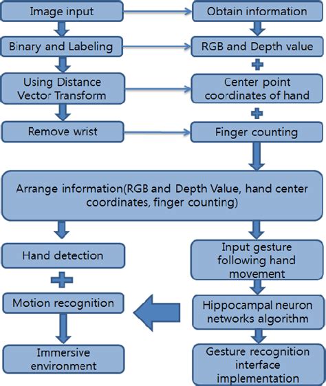 Figure 1 From A System On Hand Gestures Recognition Interface Using Hippocampal Neural Networks