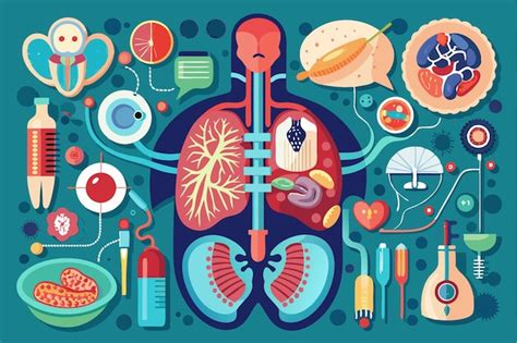 Detailed Representation Of Human Internal Organs Showcasing Their