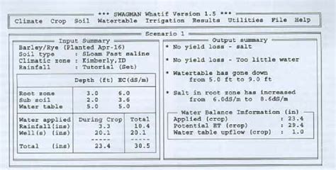 example of an input output screen from swagman whatif download