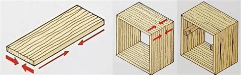 디자인을 위한 나무의 이해