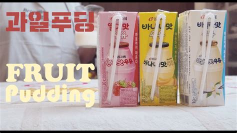 말캉말캉 리얼과일푸딩🍮드래곤푸르트🐲멜론🍈키위🥝딸기🍓4종세트 Youtube