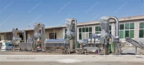 Automatic Chili Pre Processing Cleaning Crushing Production Line Chili Processing Machine