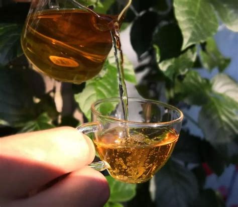 如何區分茶湯的濃淡度飽滿度 每日頭條