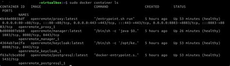 Solved Client Not Found On Login Page Openremote With Virtualbox Lubuntu 2004 Identity