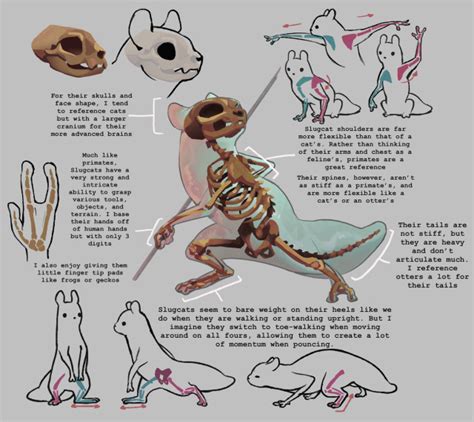 Someone Asked Me A While Ago How I Draw Slugcats And I Wanted To Make A Huge Guide Going Into