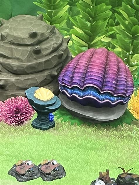 What Are These Shell Things Rcoralisland