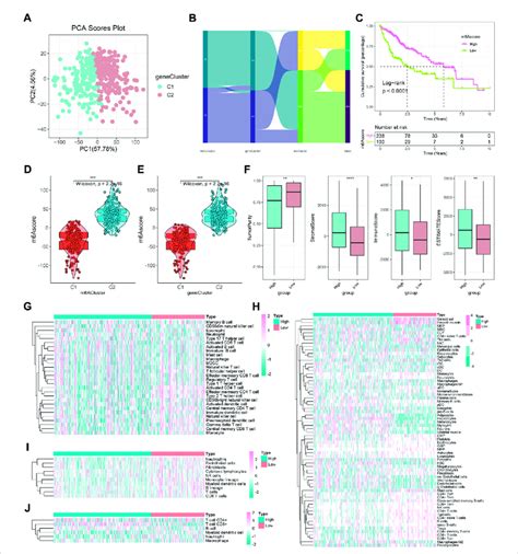 Construction Of An M6a Gene Signature And Exploration Of Its Clinical