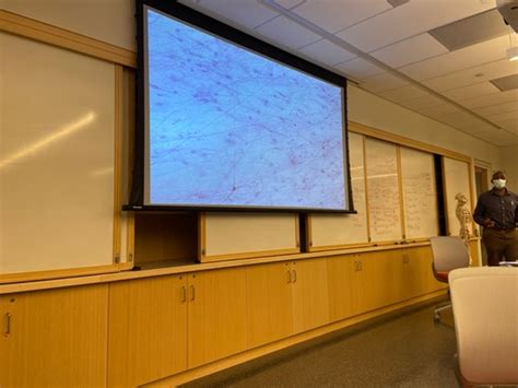 Bio Midterm Photos Flashcards Quizlet