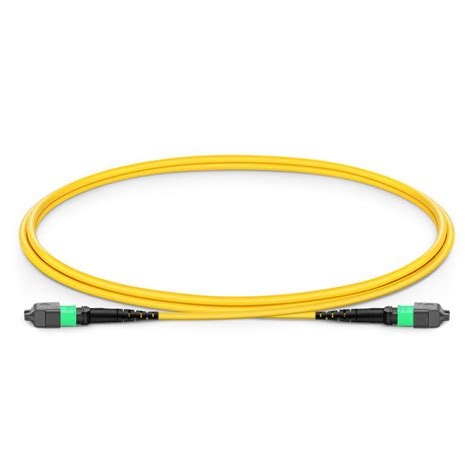 Single Mode Mpo 16 Female To Mpo 16 Female Trunk Cable 16 Fiber 9125 Os2 Type B Lszh 1m 3
