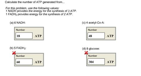 Solved Calculate The Number Of ATP Generated From For Chegg Com