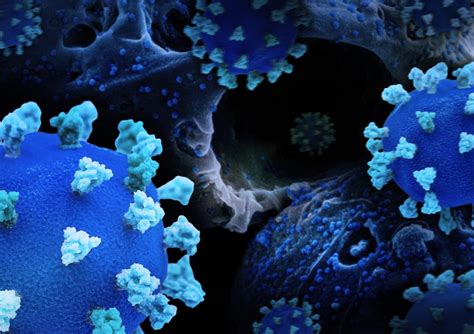Clinical Trial To Test Immune Modulation Strategy For Hospitalized