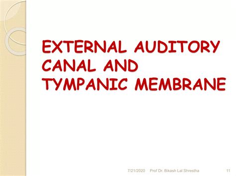 How To Read Ct Scan Temporal Bone A Dhulikhel Hospital Kathmandu University Hospital Protocol