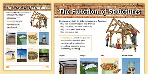 The Function Of Structures Activity Sheet Teacher Made