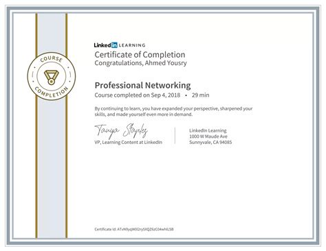 Certificate Of Completion Professional Networking Ppt