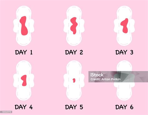 패드에 출혈 생리 기간 무겁고 가벼운 생리 기간 혈액을 가진 여성 생리대 생리 주기 아이콘의 빈도 및 주기 벡터 일러스트레이션 0명에 대한 스톡 벡터 아트 및 기타 이미지