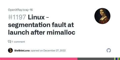 Linux Segmentation Fault At Launch After Mimalloc · Issue 1197 · Openxrayxray 16 · Github