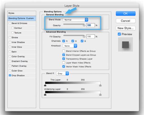 Layer Style Dialog Box In Photoshop Understanding The Basics
