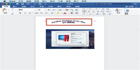 Word2013如何插入艺术字及设置艺术字的格式 360新知
