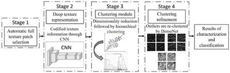 Fractal Fract Special Issue Fractal And Fractional Analysis In Biomedical Sciences And