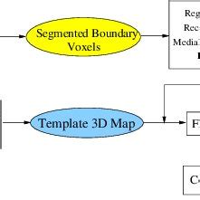 The Computational Pipeline Download Scientific Diagram