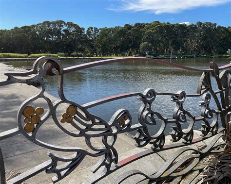 Duck Pond All You Should Know Before Going 2026 With Reviews